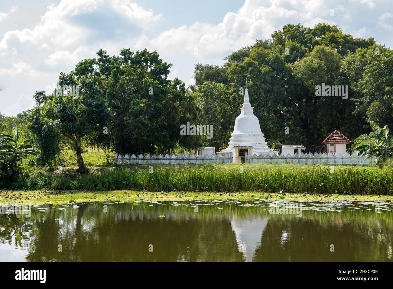 Sri Lanka, Province Centrale, Zentral Provinz, Centrale Province ...