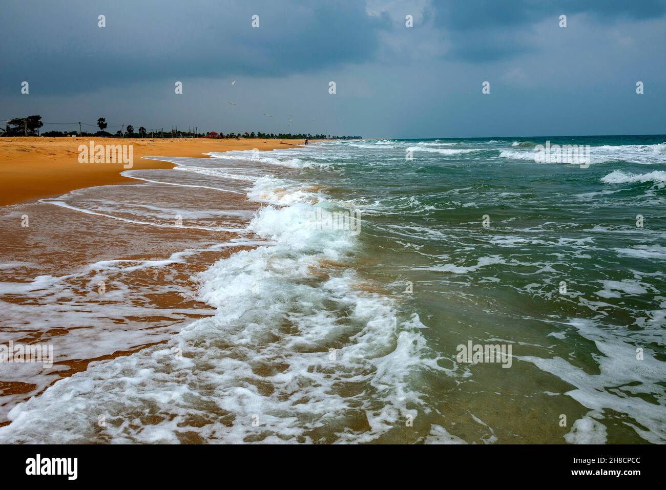 Sri Lanka, Northern Province, Province du Nord, Nördliche Provinz ...