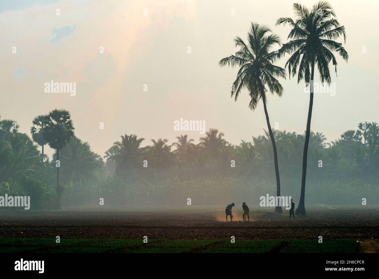 Sri Lanka, Northern Province, Province du Nord, Nördliche Provinz ...