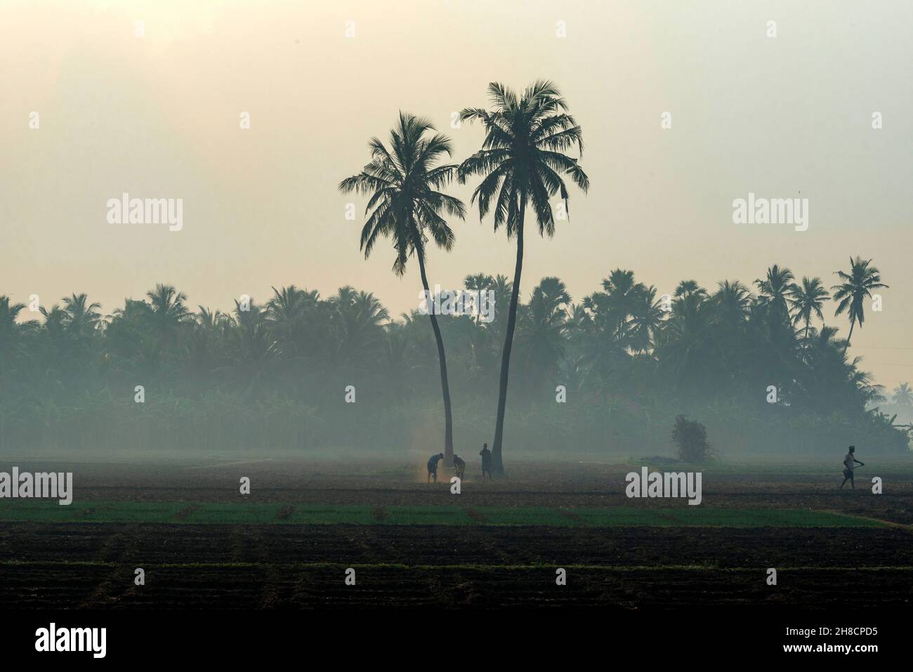 Sri Lanka, Northern Province, Province du Nord, Nördliche Provinz ...