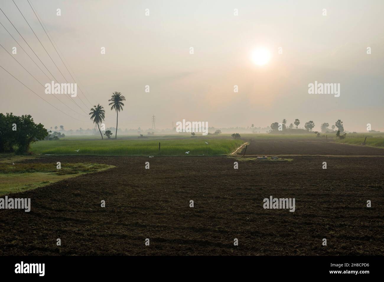 Sri Lanka, Northern Province, Province du Nord, Nördliche Provinz ...