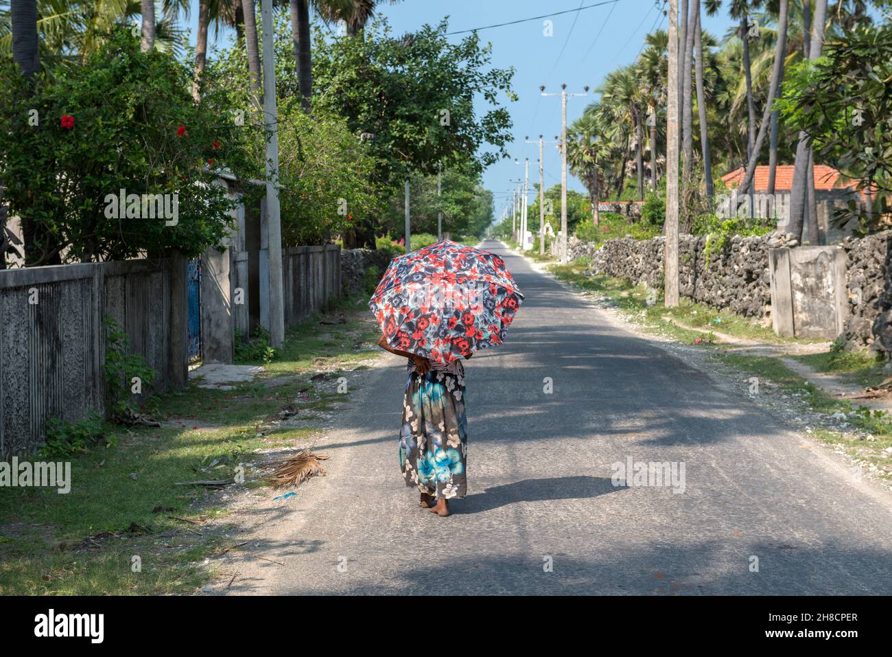 Sri Lanka, Jaffna, Delft Island, Neduntheevu or Neduntivu Stock Photo ...