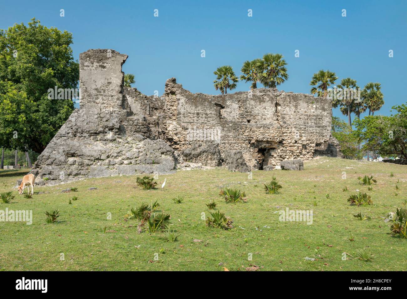 Sri Lanka, Northern Province, Province du Nord, Nördliche Provinz, île ...