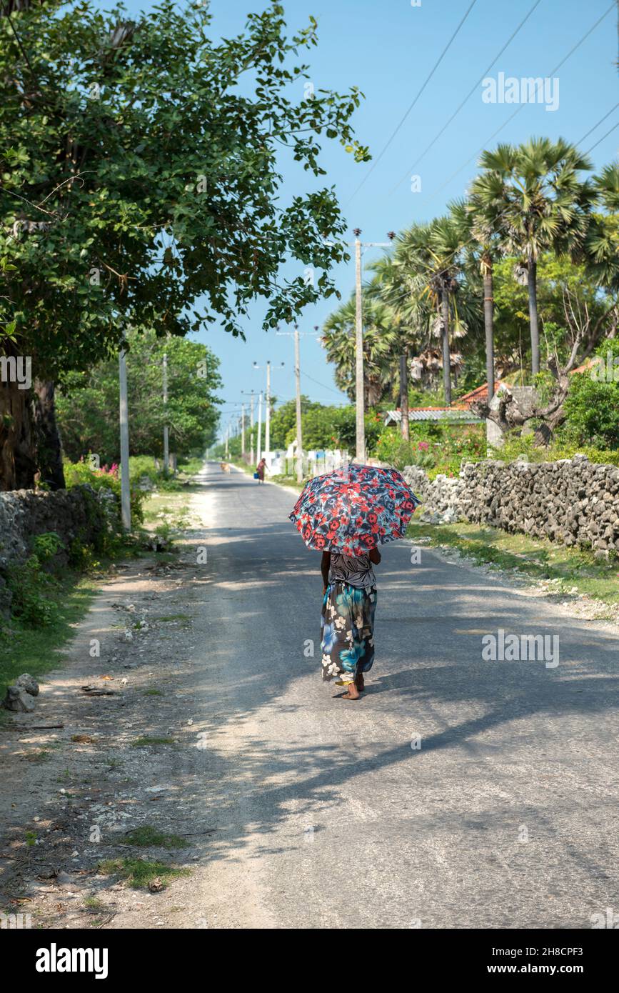 Sri Lanka, Jaffna, Delft Island, Neduntheevu or Neduntivu Stock Photo ...