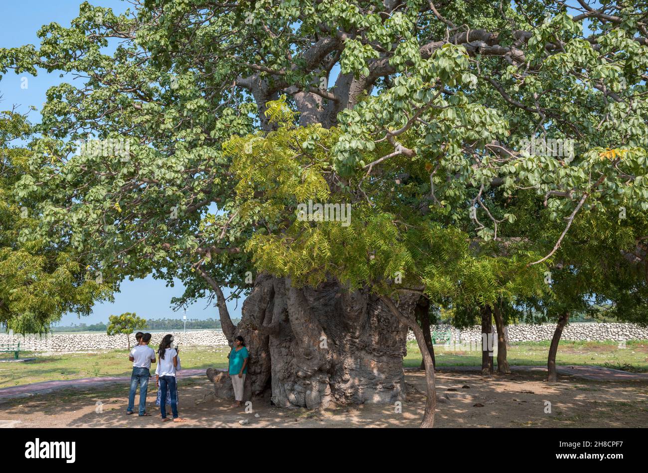 Sri Lanka, Northern Province, Province du Nord, Nördliche Provinz, île ...