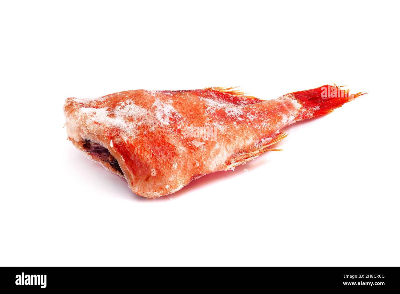 Frozen headless red snapper covered with ice. Frozen redfish isolated ...