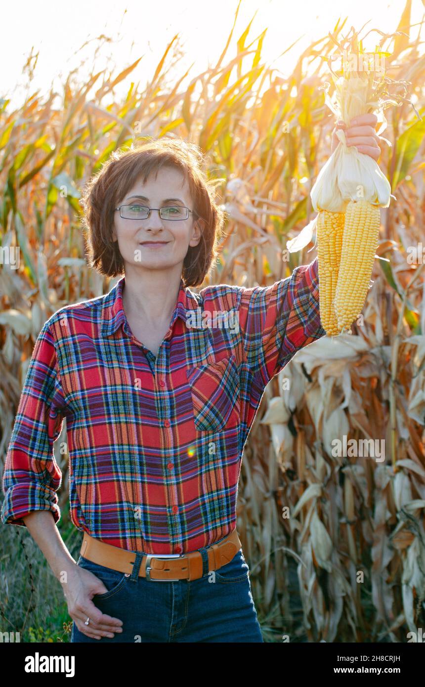 Female checking corn hi-res stock photography and images - Alamy