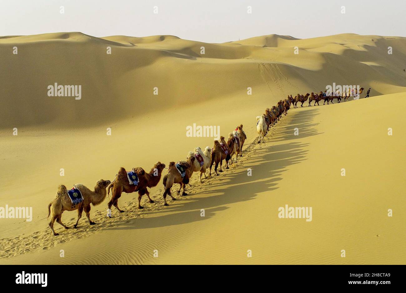 Ordos, China's Inner Mongolia Autonomous Region. 29th Nov, 2021. Aerial ...