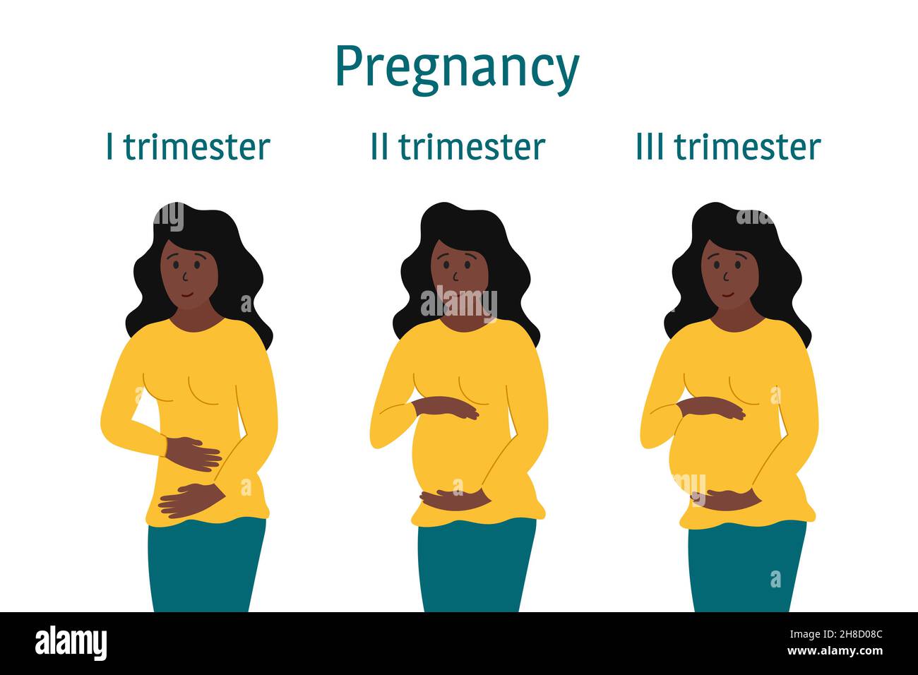 Stages Of Pregnancy Trimesters