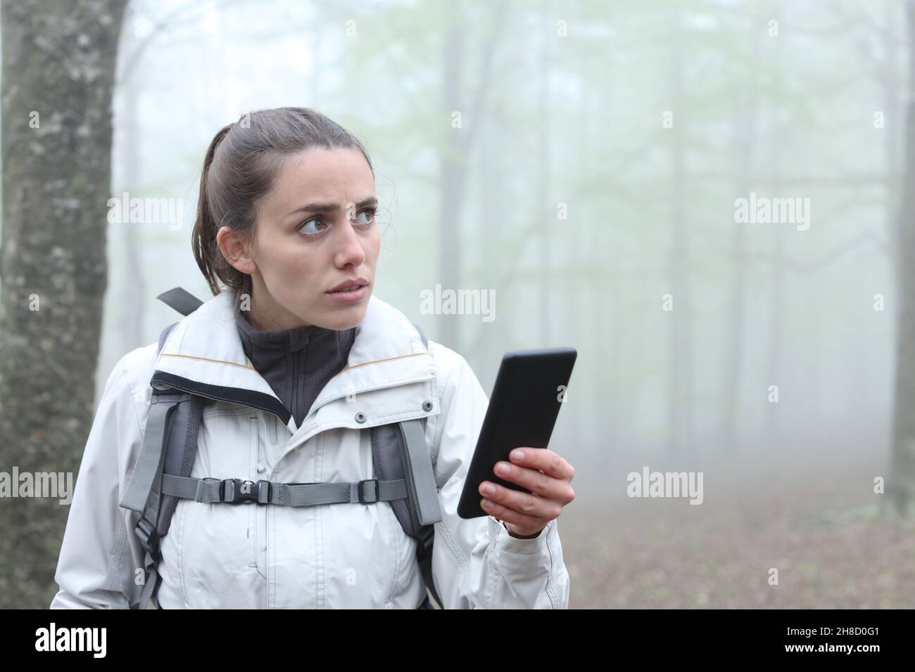 Lost trekker using smart phone to locate walking in a forest a foggy ...