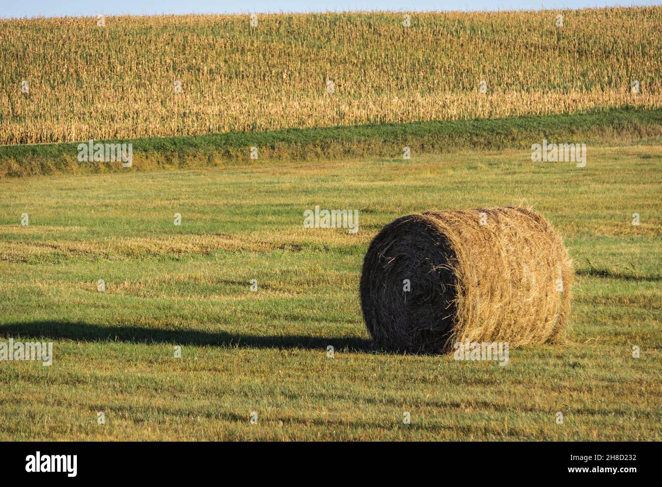 A bale of hay sitting in the field at sunset in the great plains of ...