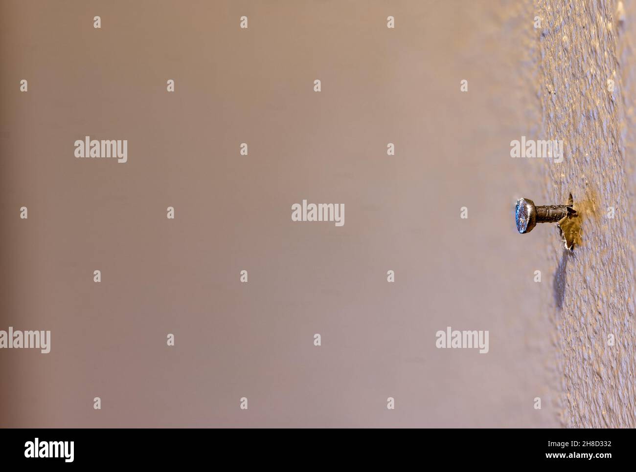 Macro of a single nail protruding from painted drywall in a residential ...