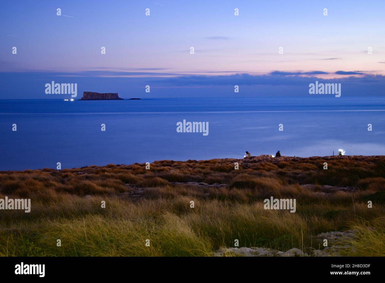 Filfla hi-res stock photography and images - Alamy