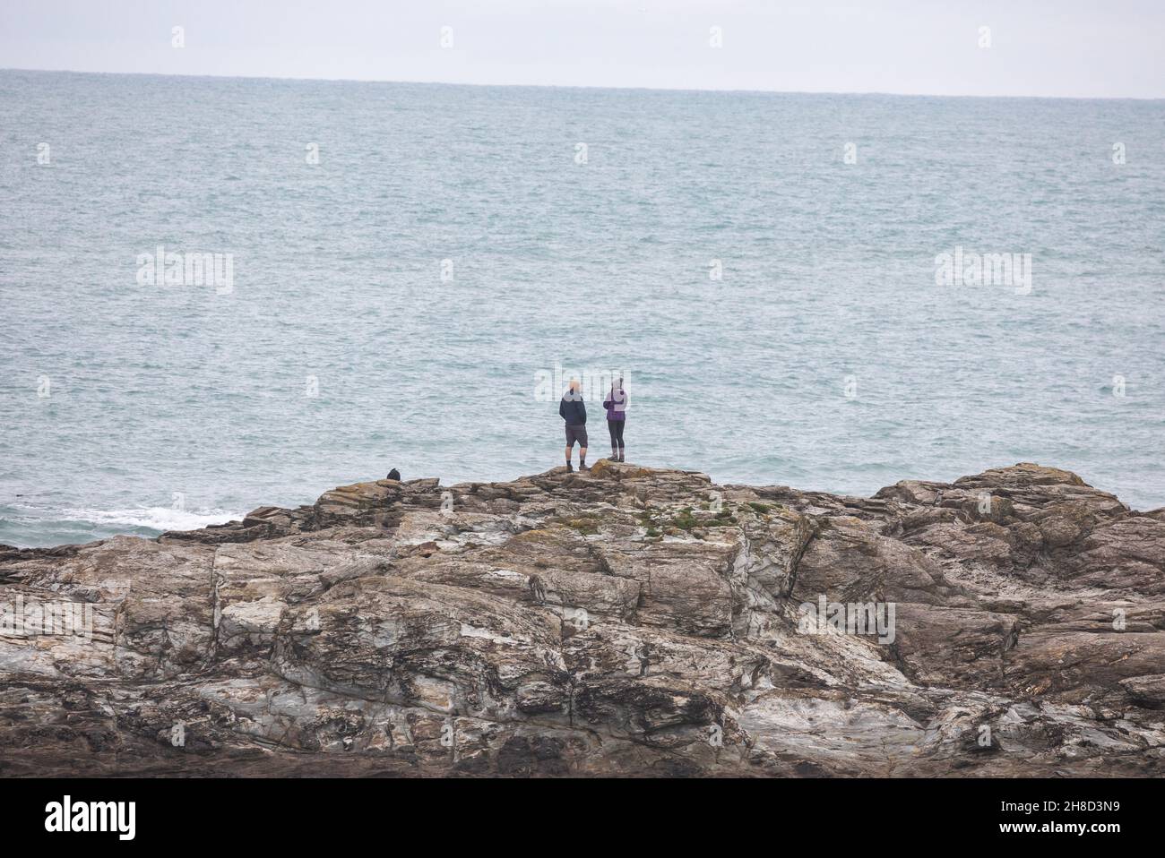 Mutton Cove,Godrevy,Cornwall,29th November 2021,People were out walking ...