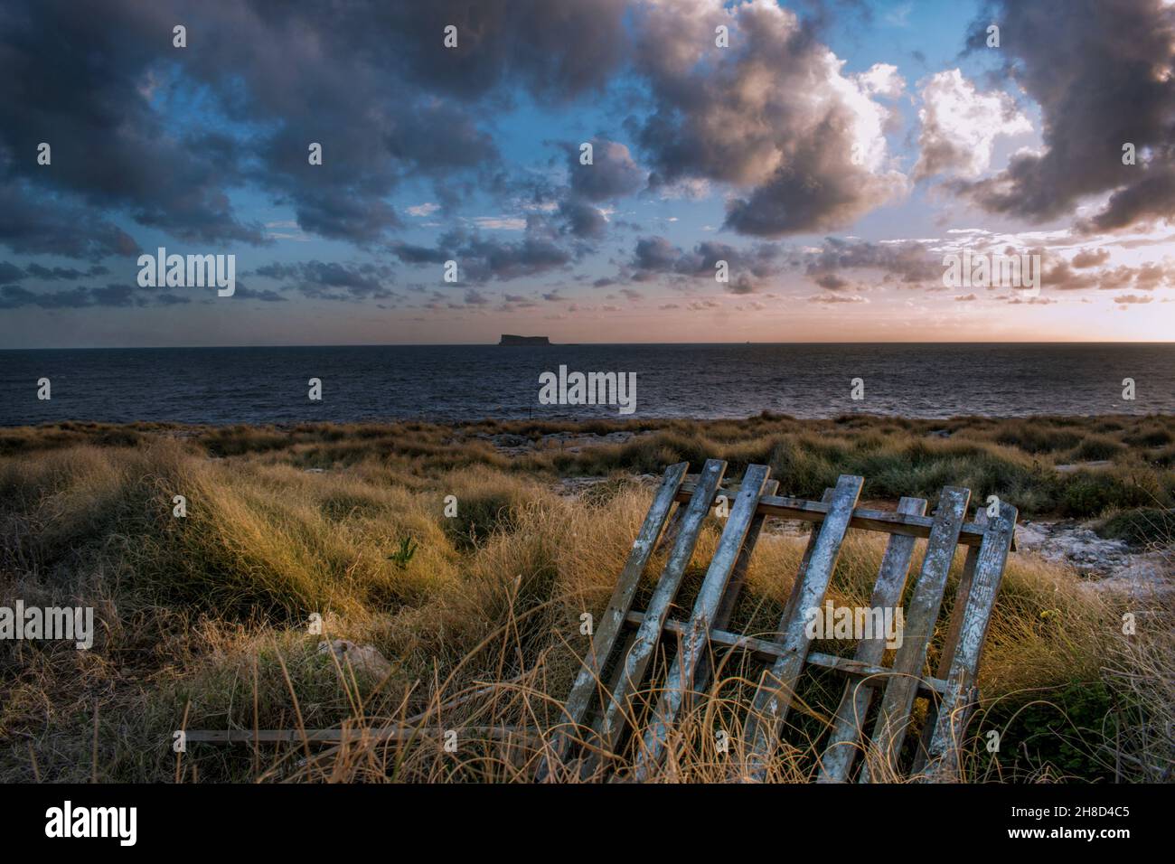 Filfla hi-res stock photography and images - Alamy