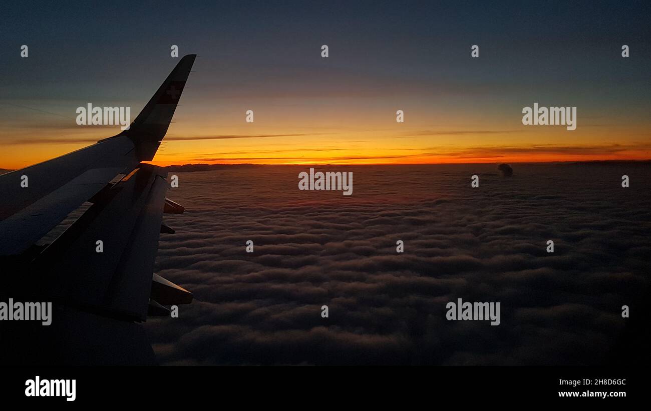 Fascinating shot of an aircraft tail on the beautiful sunset background ...