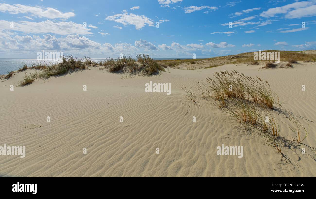 Panorama of dunes, Nida - Curonian Spit and Curonian Lagoon, Baltic ...