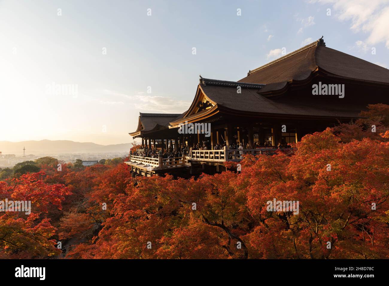 Autumn leaf color surround the main hall of the Kiyomizu-dera Buddhist ...