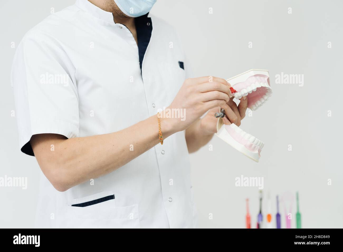 Dentist showing the correct dental hygiene using mock-up of skeleton of ...