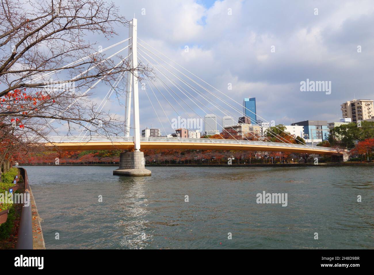 OSAKA, JAPAN - NOVEMBER 22, 2016: Modern Kawasaki pedestrian foot ...