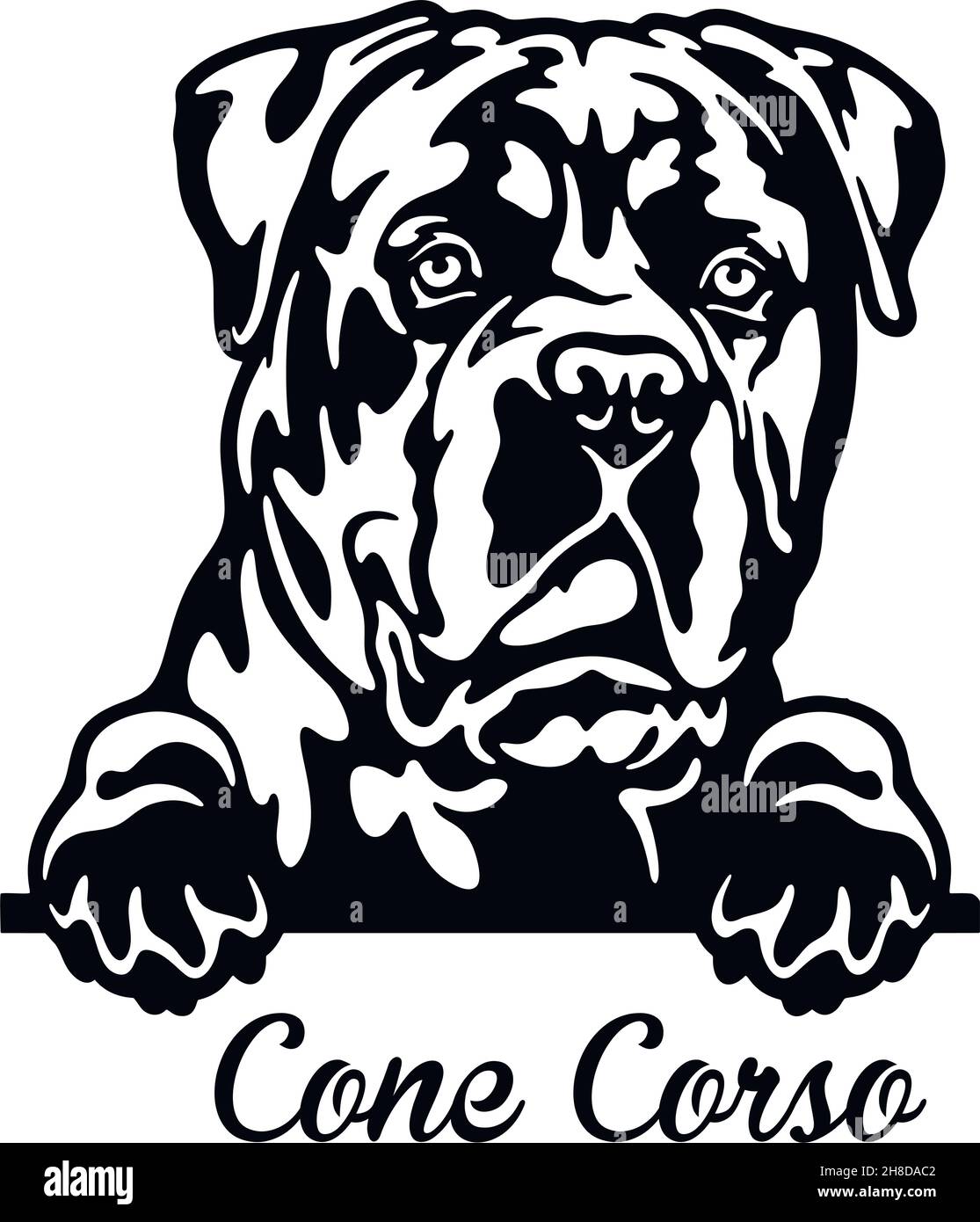 Cane Corso Peeking Dog - head isolated on white - vector stock Stock ...