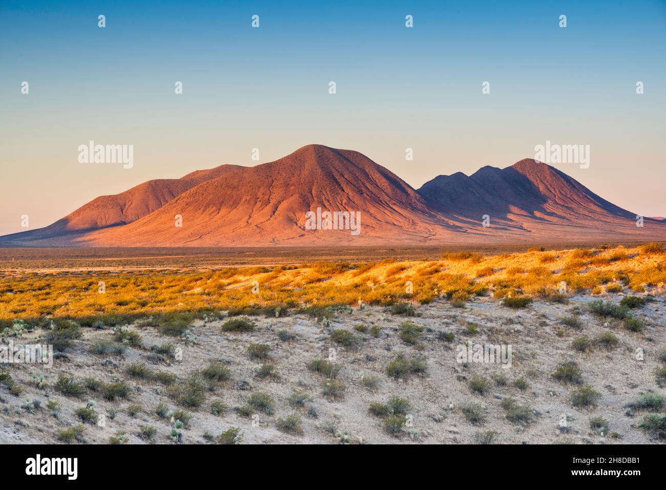 Mount Riley and Cox Peak cinder cones, East Potrillo Mountains, sunrise ...