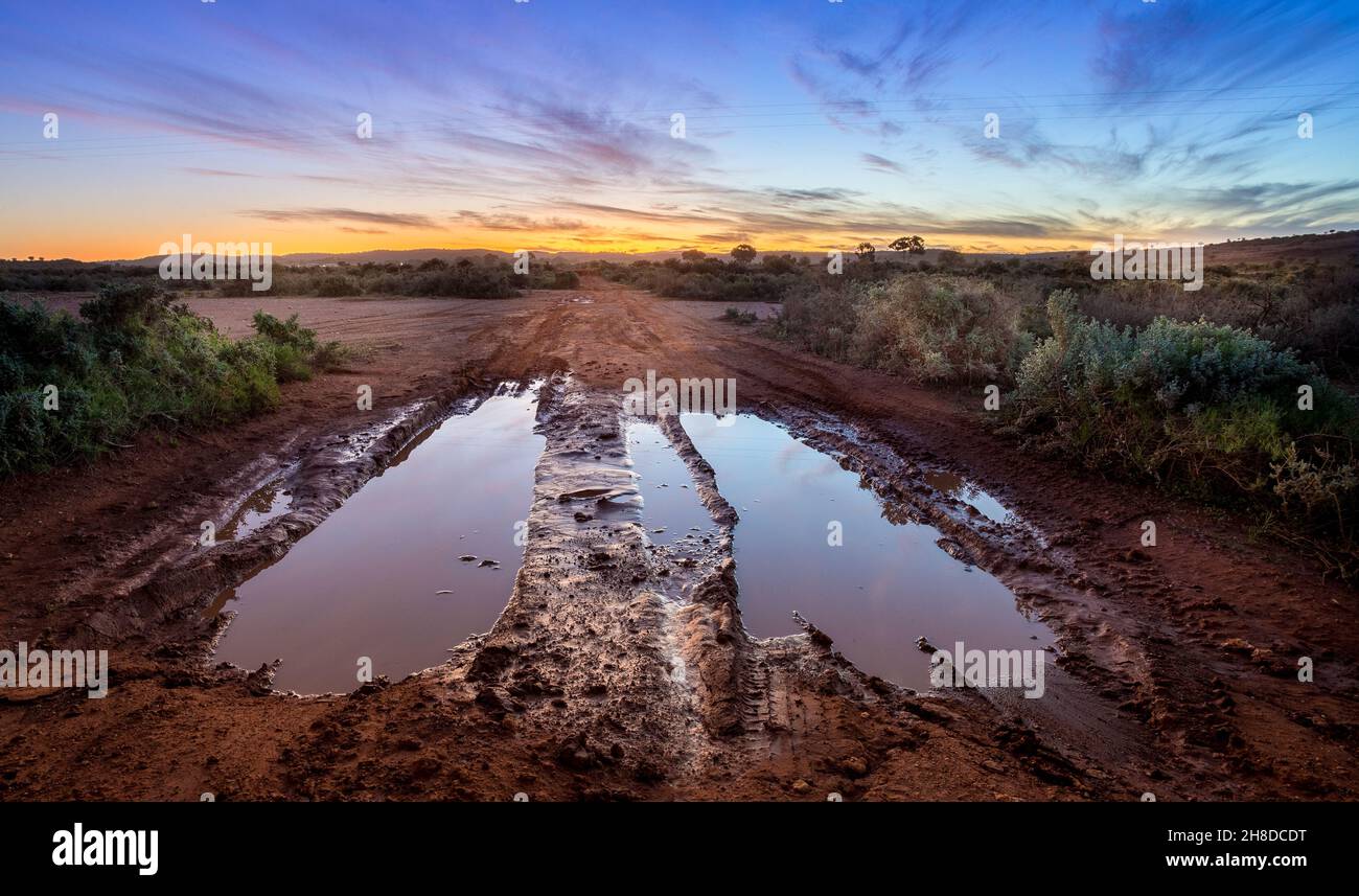 Muddy pond in the middle of a gravel road in a deserted area Stock ...