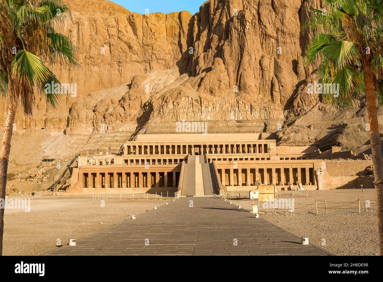 Paving palm trees in hi-res stock photography and images - Alamy