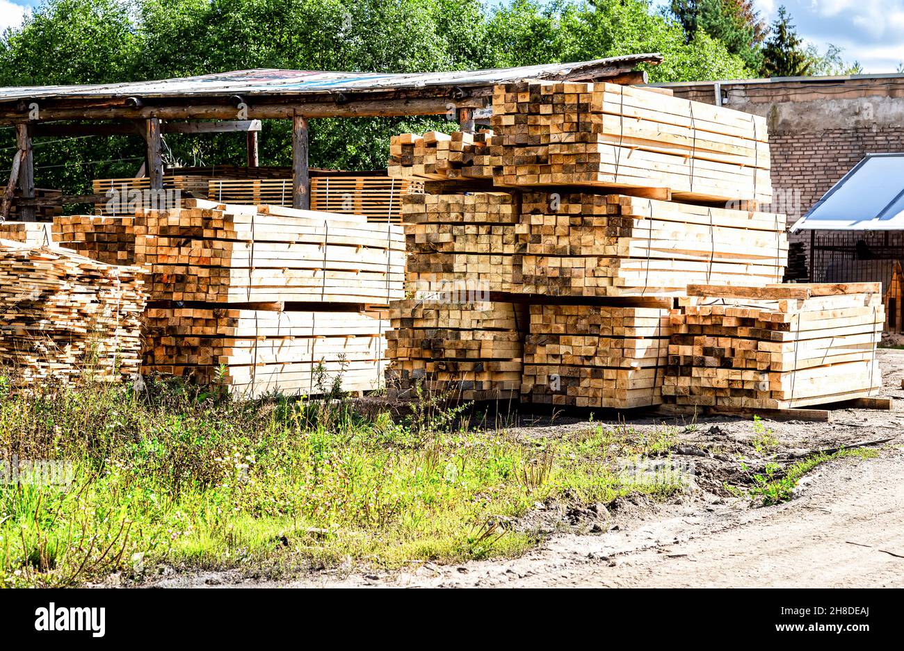 Lumber in sawmill. Sawed and processed wood in warehouse, timber stack ...