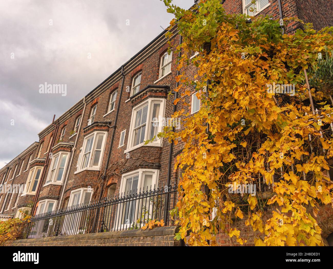 Iron railings brick wall hi-res stock photography and images - Alamy