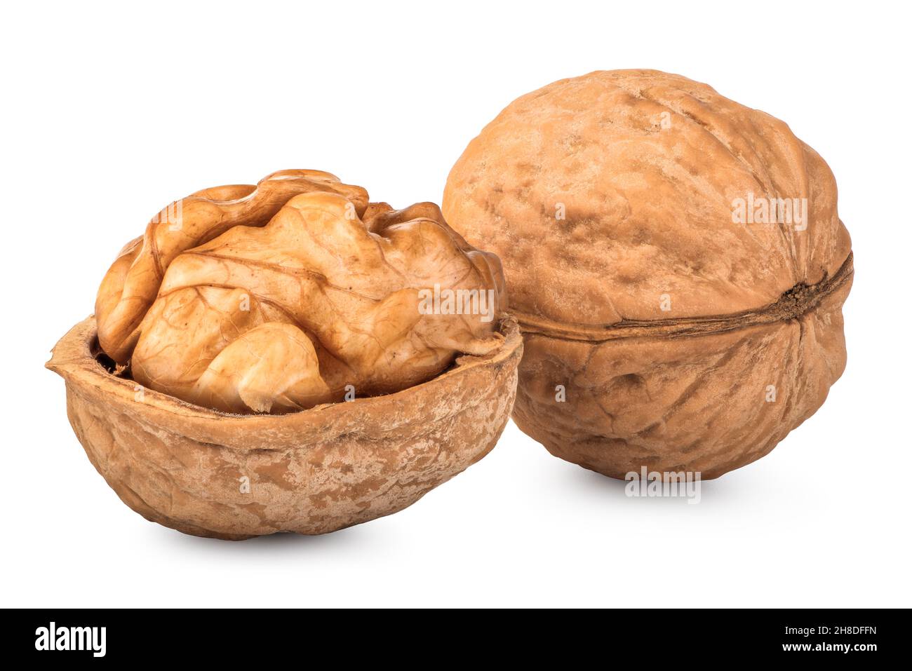 Walnuts close up isolated on a white background Stock Photo - Alamy