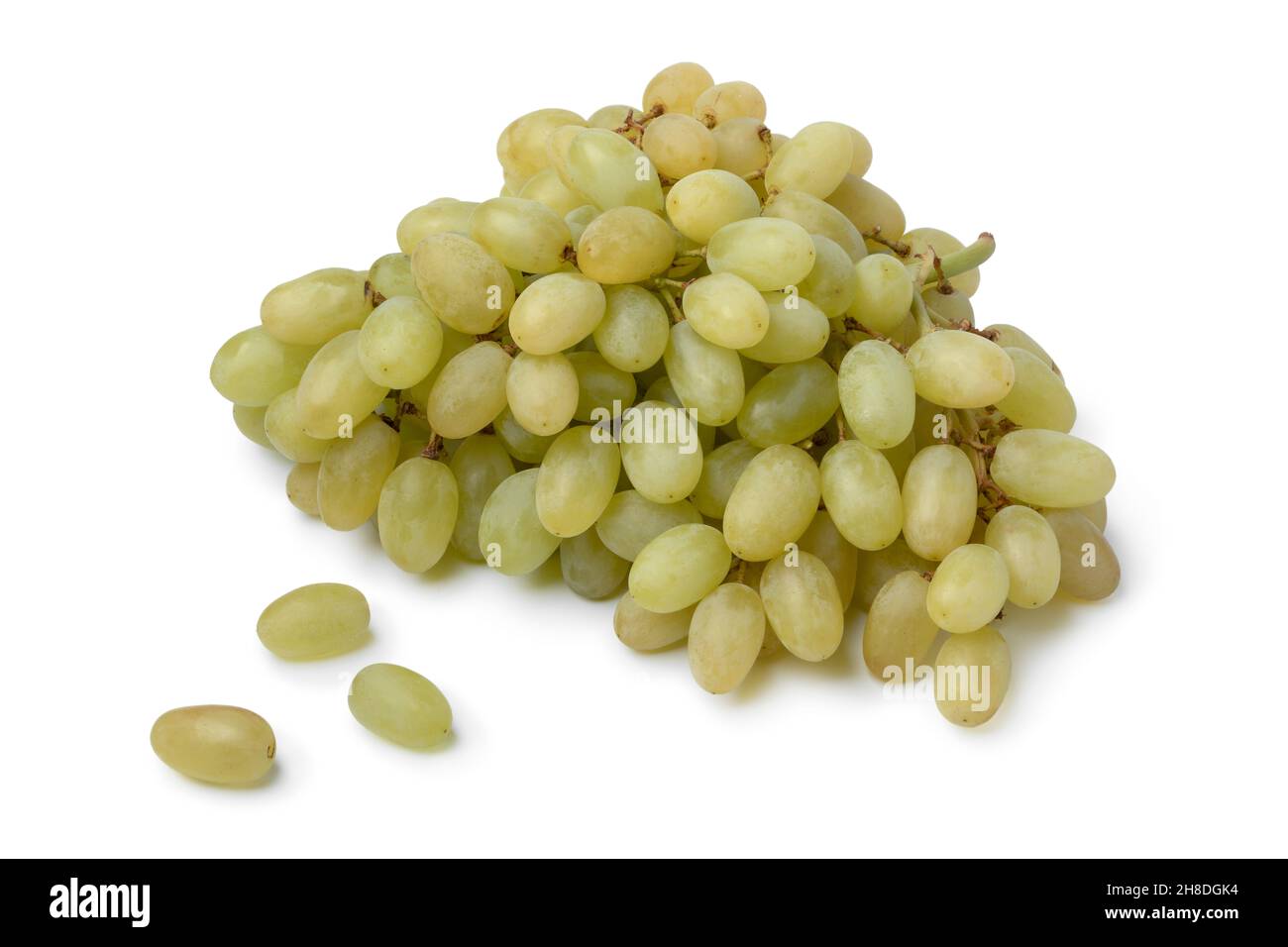 Thompson Seedless, Sultana, Vitis Vinifera, Variedad De Uva Con Pálidos ... Thompson Seedless, Sultana, Vitis Vinifera, Variedad De Uva Con Pálidos ...