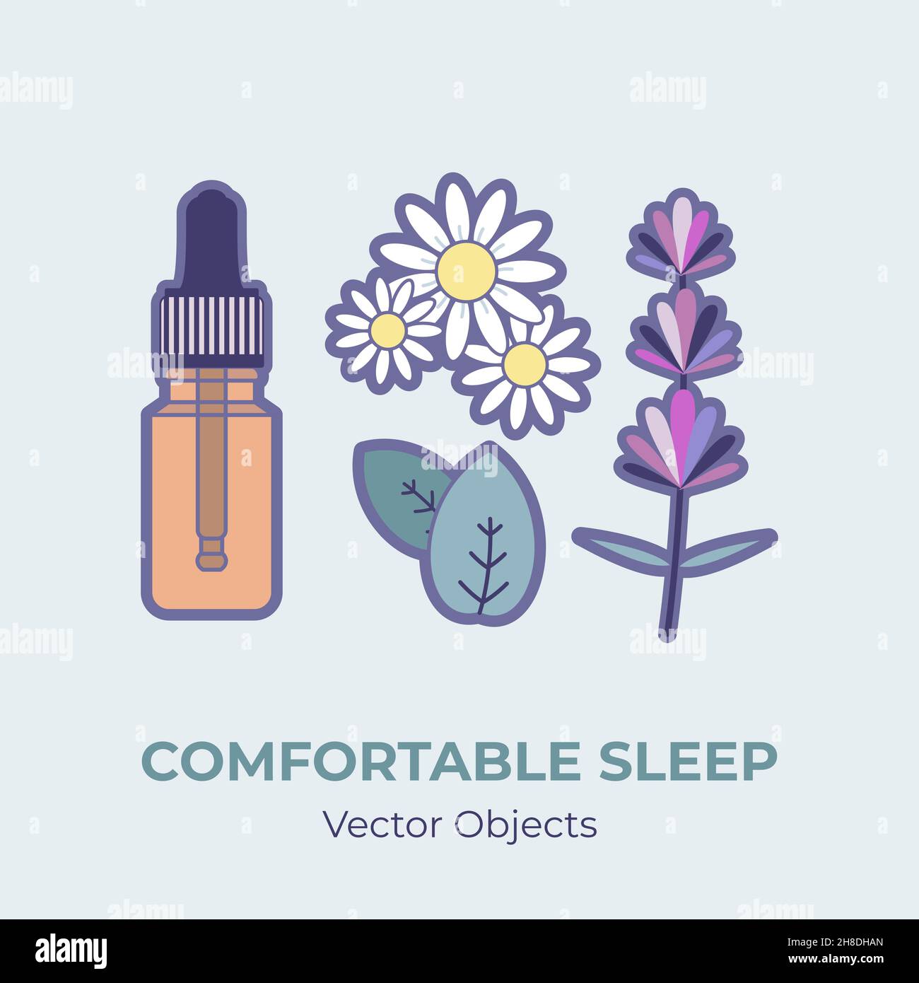 Essential oil extract bottle vector isolated. Lavender, chamomile ...