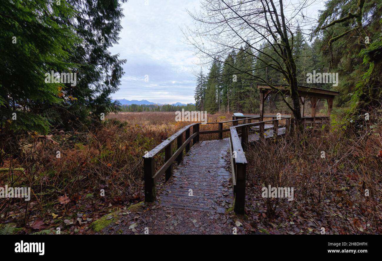 Derby Reach Regional Park in Langley, Greater Vancouver, British ...