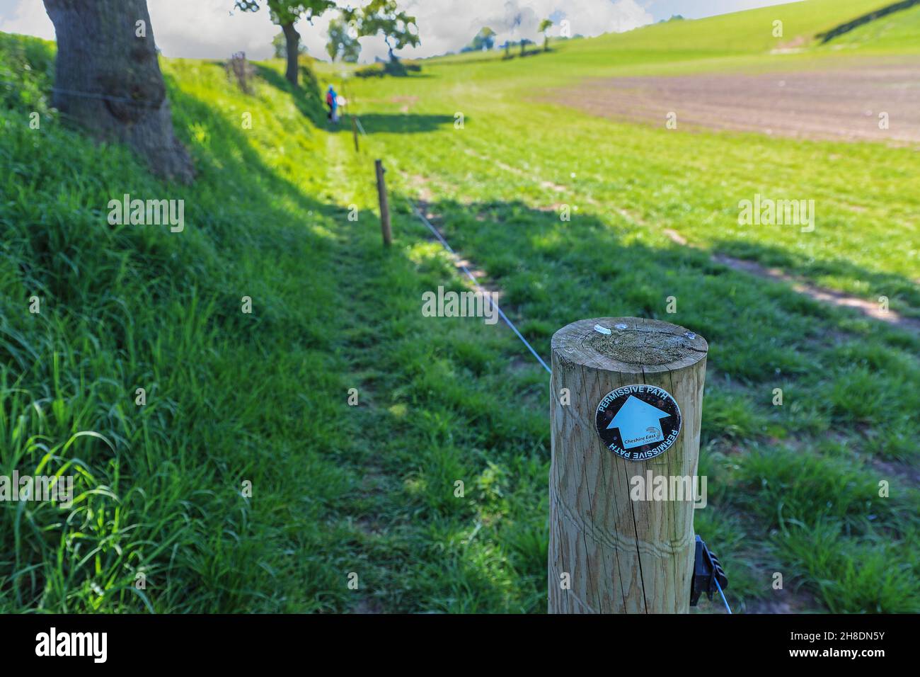 An arrowed way marker for a permissive footpath, Cheshire, England, UK ...