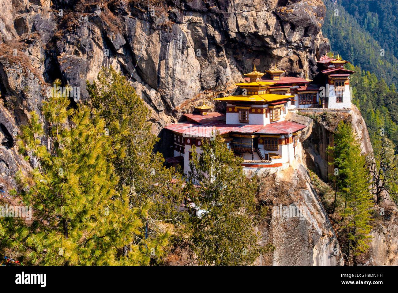 Taktsang Monastery (Tiger's Nest), Paro, Bhutan Stock Photo - Alamy