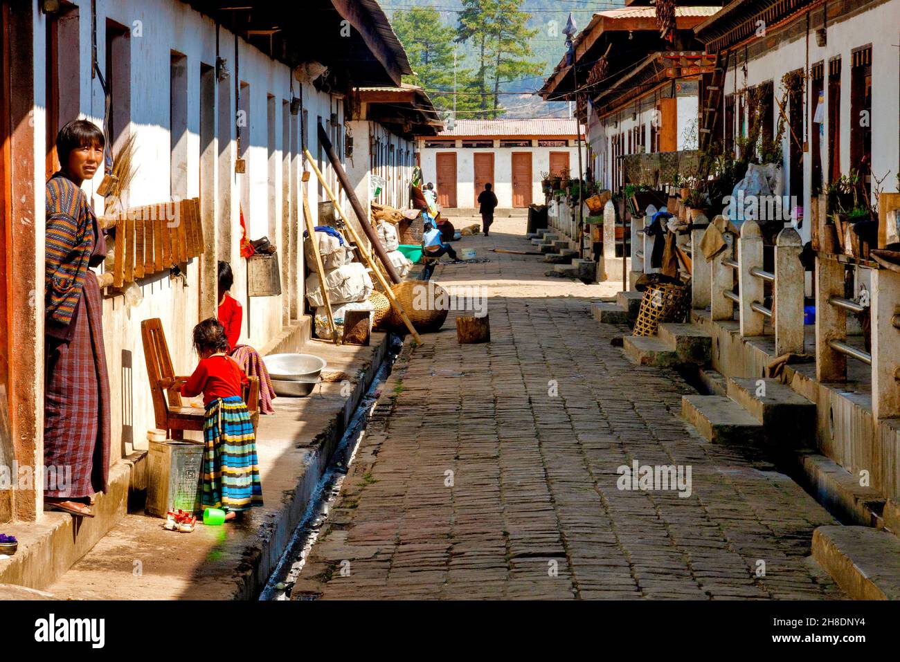 Housing colony in the Thimphu district, Bhutan Stock Photo - Alamy