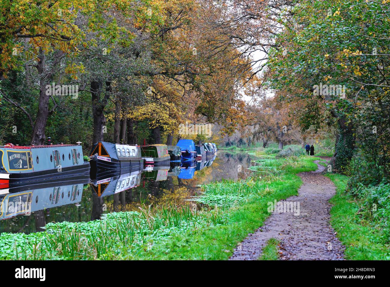 The River Wey navigation canal near Ripley on a peaceful colourful ...