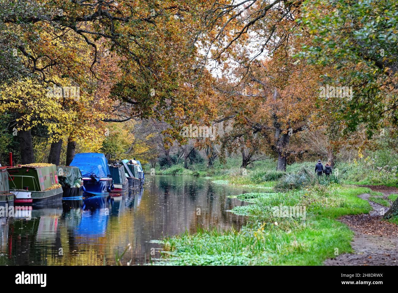 The River Wey navigation canal near Ripley on a peaceful colourful ...