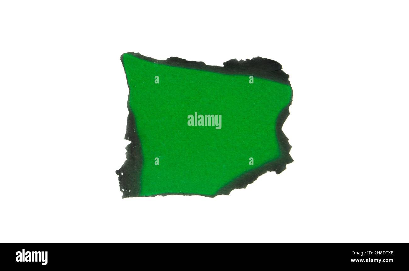 Burnt green sheet of cardboard isolated on a white background. Vintage ...