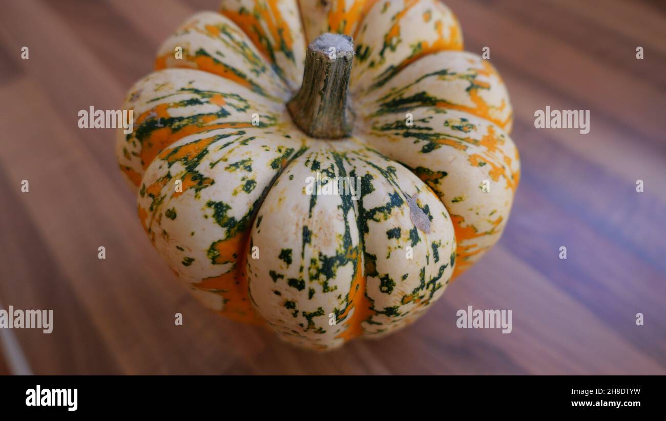 Standing squash hi-res stock photography and images - Alamy