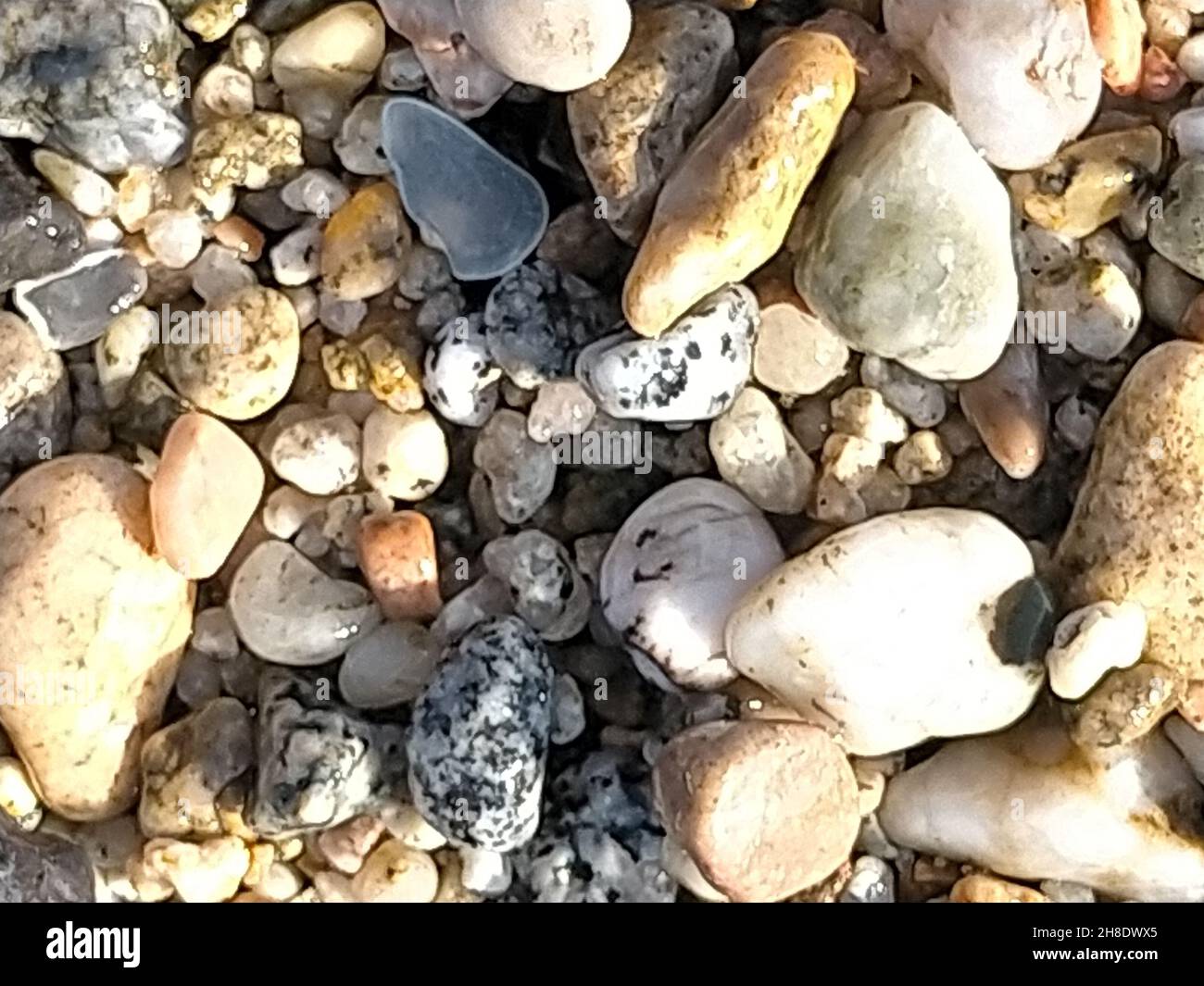 Top view of colorful pebbles at the sunlight Stock Photo - Alamy