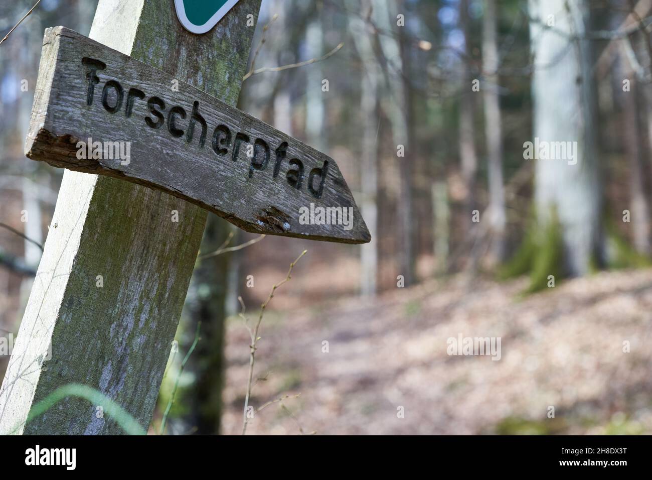 Wooden sign in arrow shape says: Explorer path ( german: Forscherpfad ...