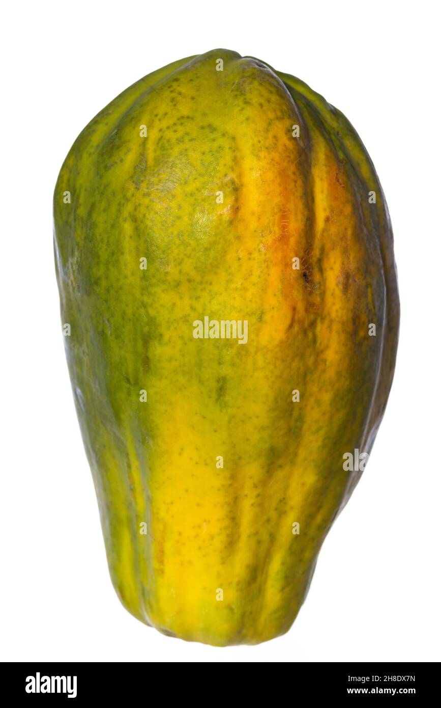 intact whole papaya standing isolated on white background Stock Photo ...