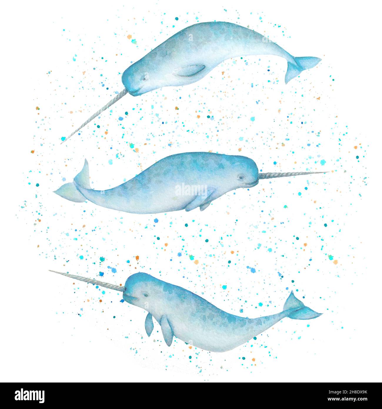 Set of watercolor blue teal narwhals with paint colorful splashes on white background ...