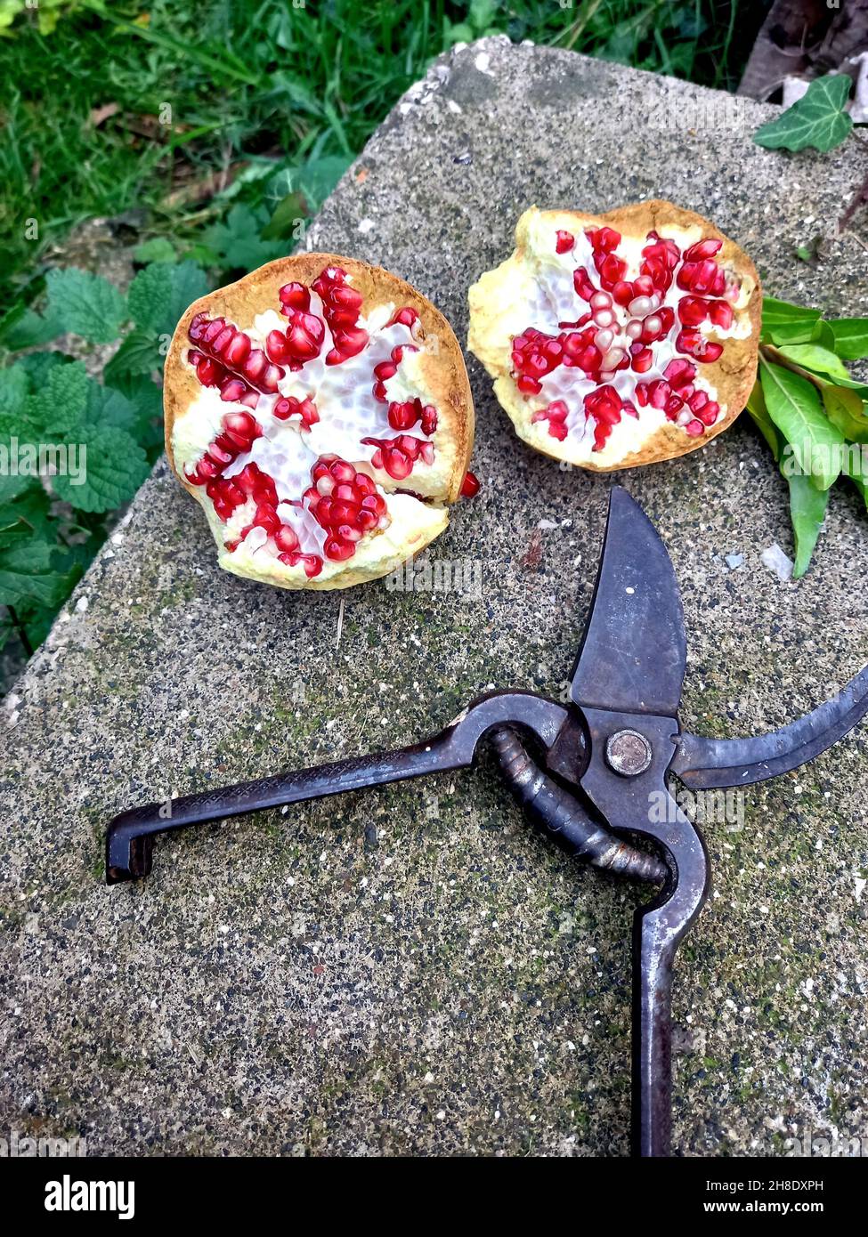 Selective focus split shot hi-res stock photography and images - Alamy