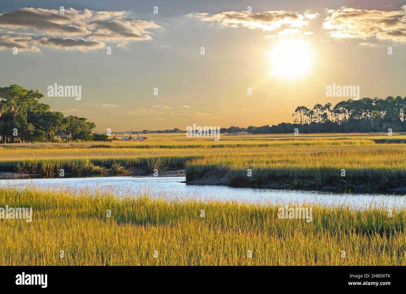 The late afternoon sun casts a warm glow over a South Carolina salt ...