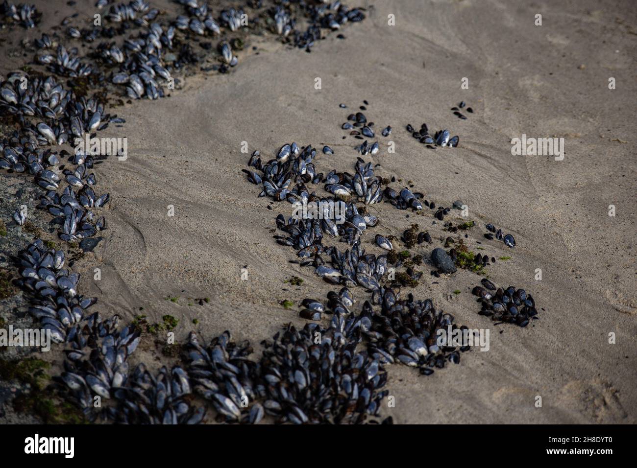 Black washed ground hi-res stock photography and images - Alamy