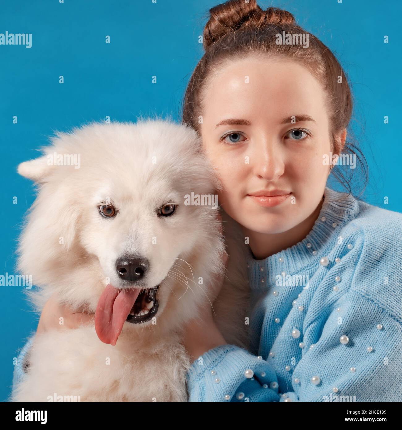 A girl and a handsome samoyed with a wolf's gaze look at the viewer ...