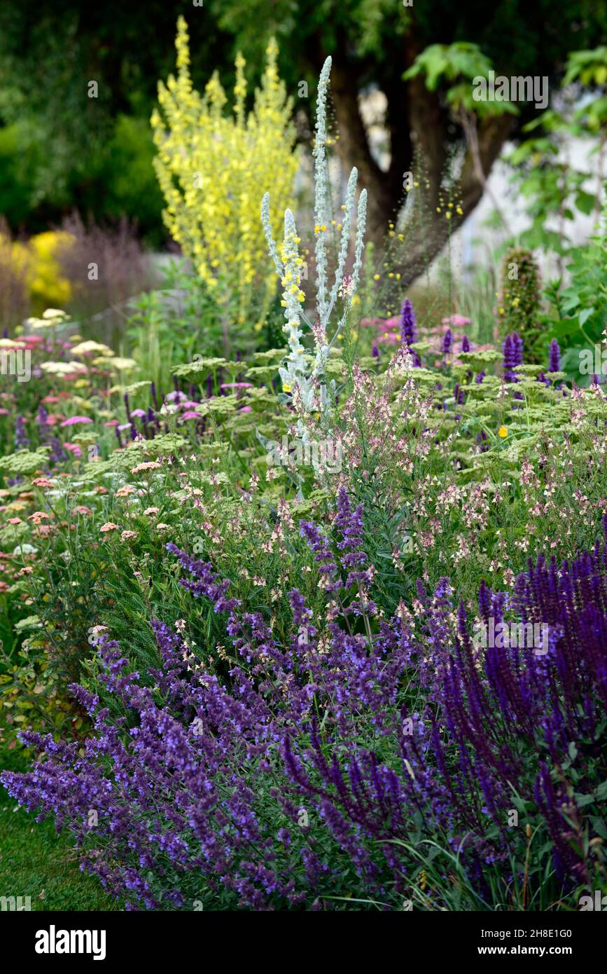 Layers of planting hi-res stock photography and images - Alamy